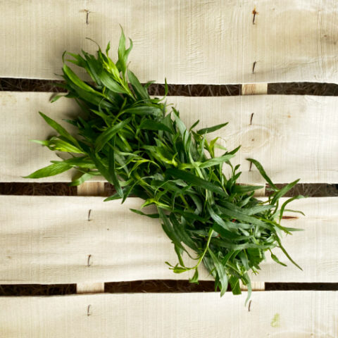 Estragon - die veggies