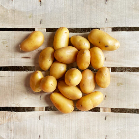 Kartoffeln "Grenaille" neue Ernte - die veggies